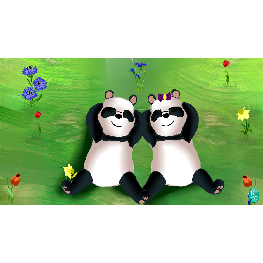 Fejlesztő mesekönyv csomag - PanDani kalandjai - Pandani Pilóta lesz és ...